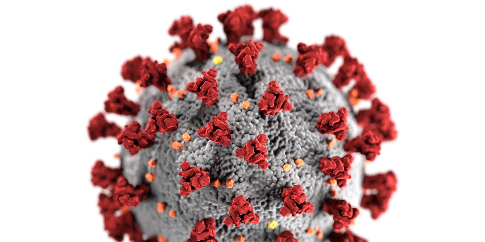 The Biology of Viral Infections | Oxford Lifelong Learning, University ...
